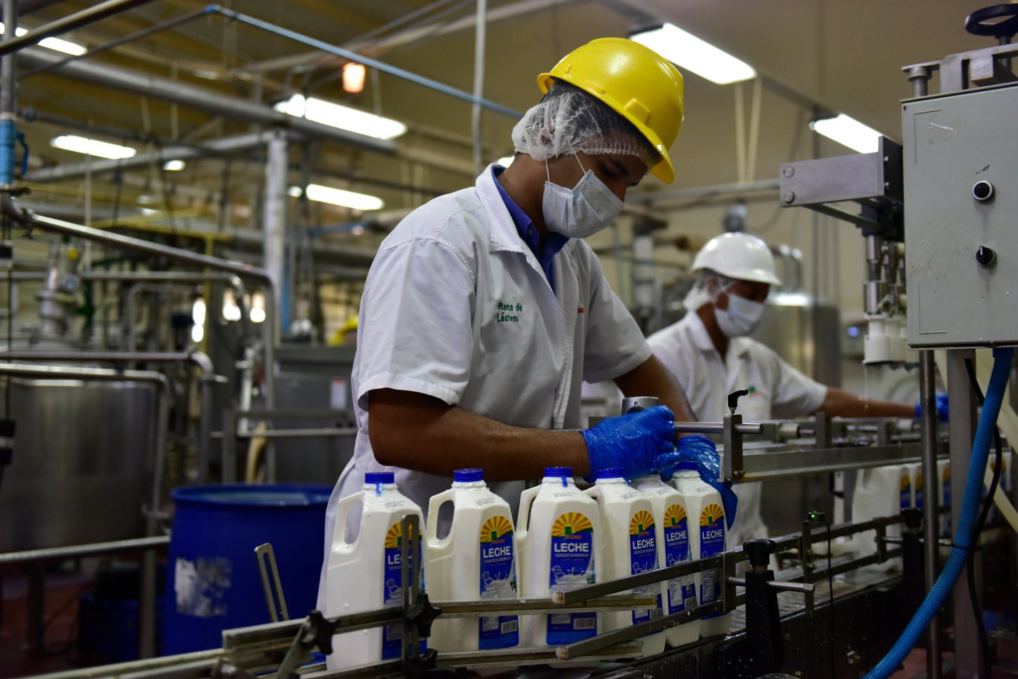 Programa Académico de Agroindustria Alimentaria | Universidad Zamorano